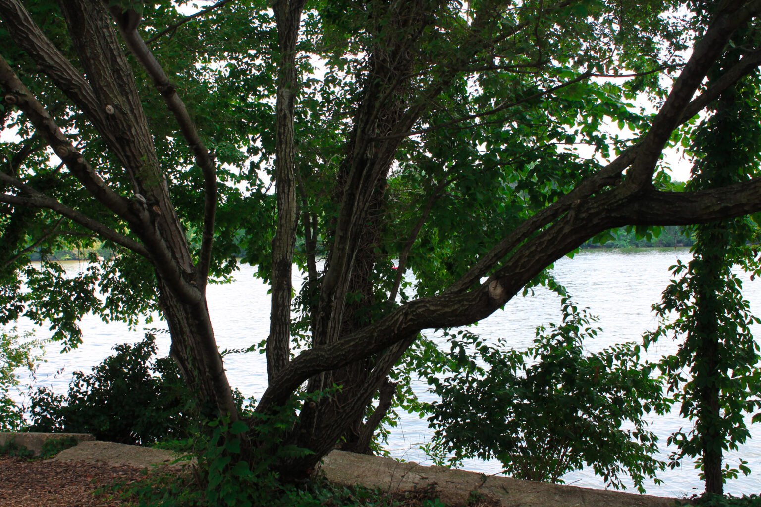 Fun Things To See And Do In Georgetown, DC | This Bahamian Gyal