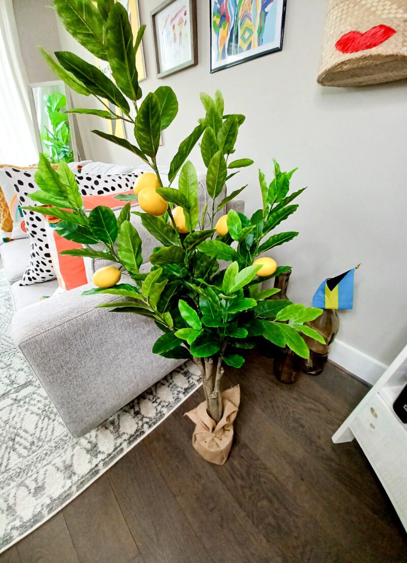 Tour My Colourful Washington, DC Apartment And Prepare To Fall In Love ...